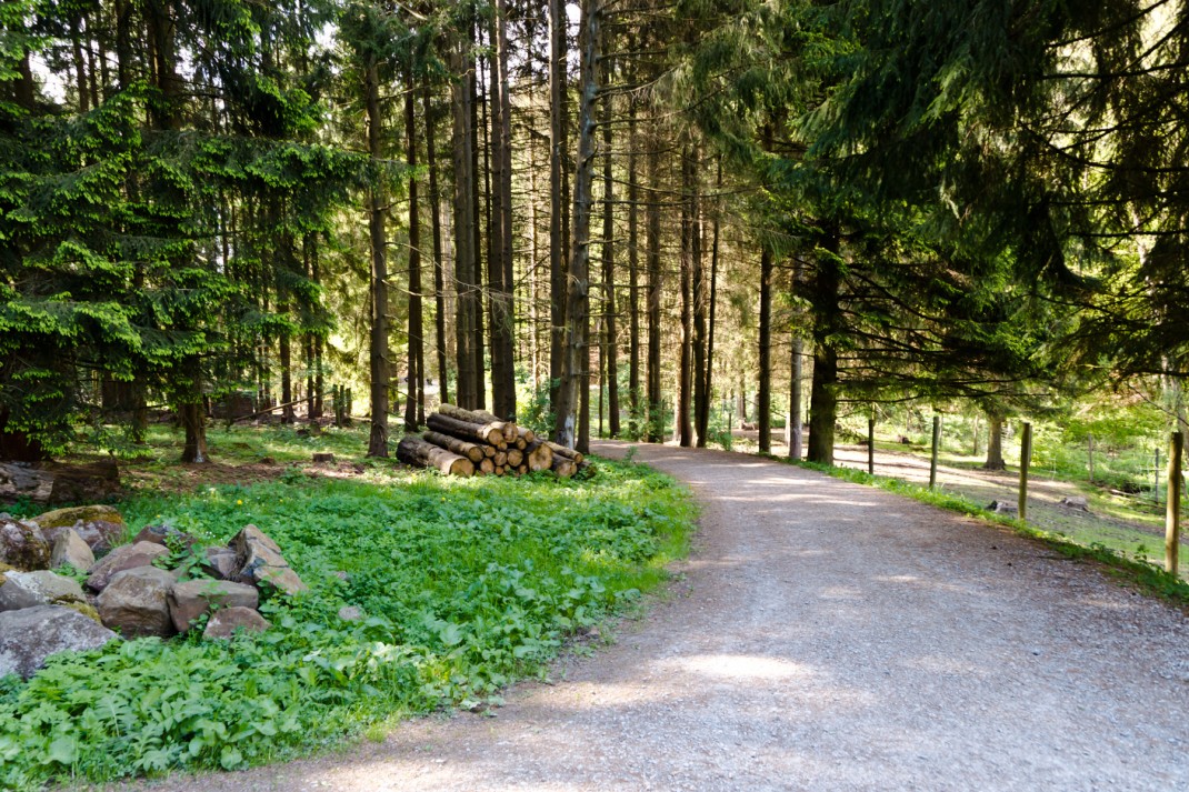Wildpark Gersfeld (Rhön) – Marie-Theres Schindler – Beauty Blog