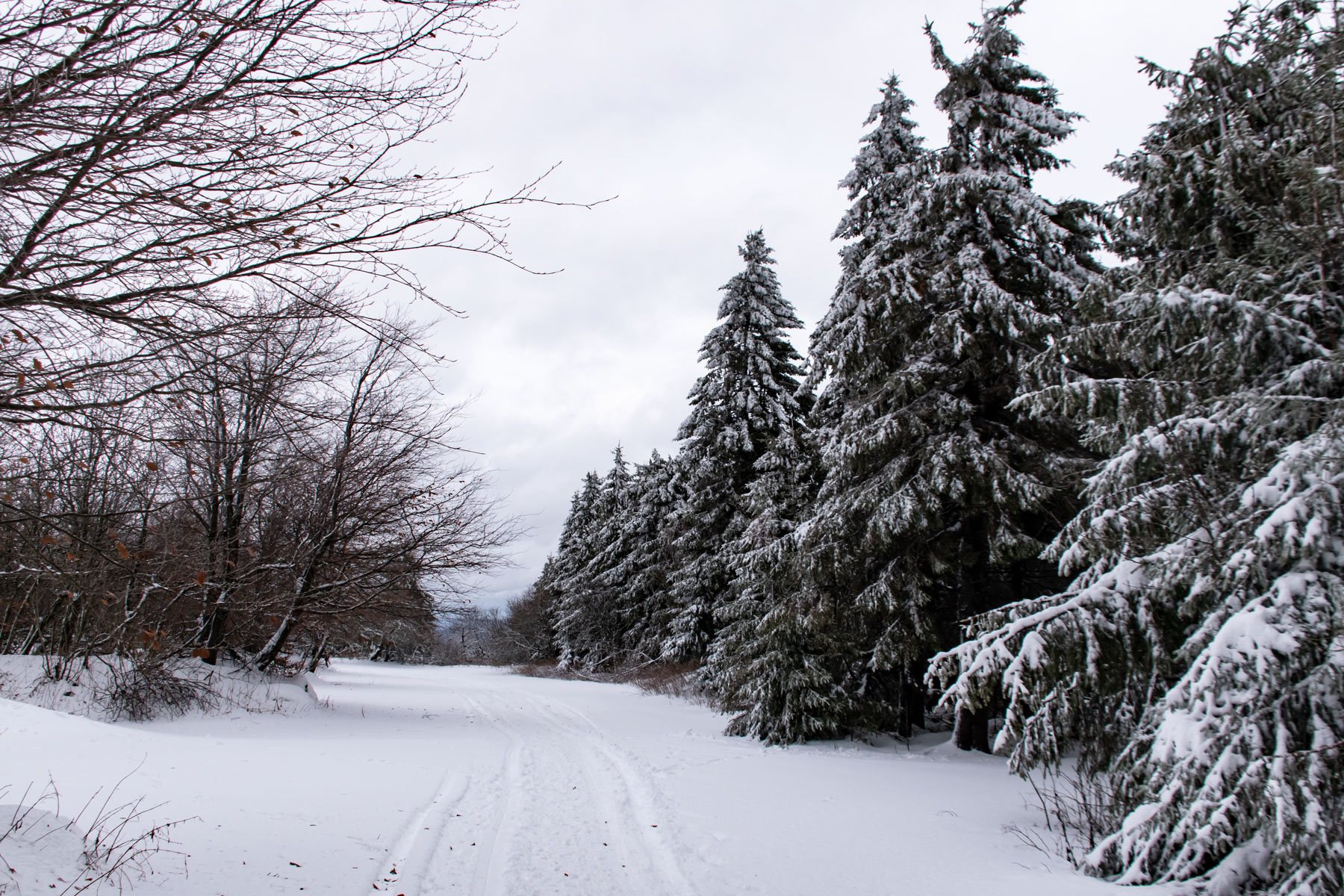 [Adventskränzchen] Winterlandschaft – Marie-Theres Schindler – Beauty Blog